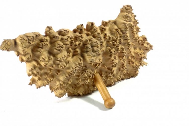 Wooden Clock in Beautiful Brown Mallee Burr - Tommy Woodpecker Woodworks